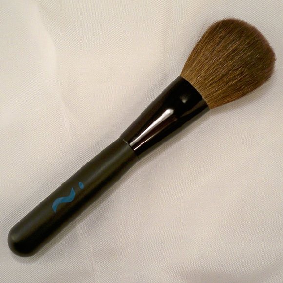 SKINN | Makeup | New Skinn Dimitri James Plasma Fusion Brush | Poshmark